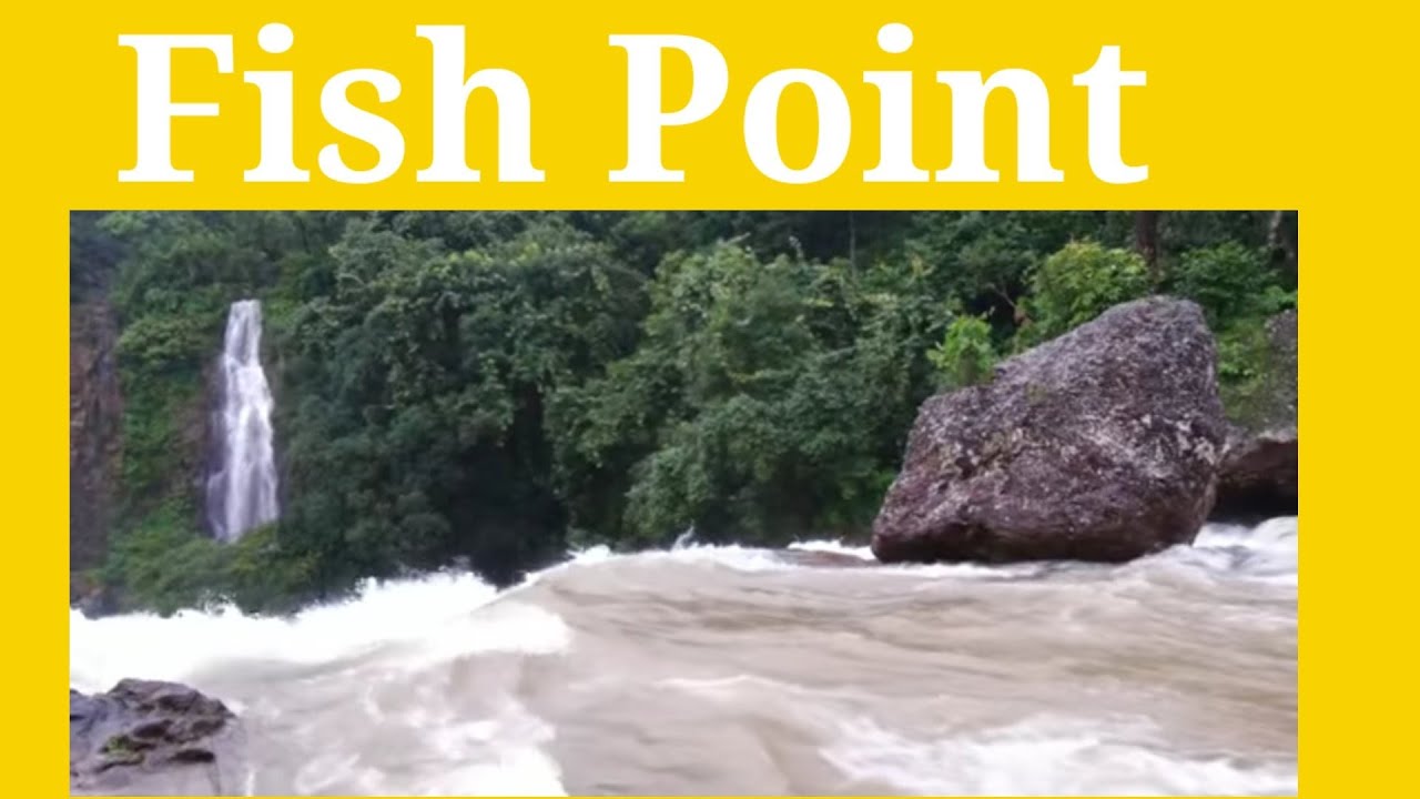 Fish Point waterfall Mainpath - YouTube