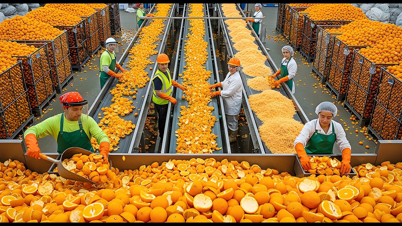 Inside a Modern Orange Fiber Factory – From Citrus Waste to Designer ...
