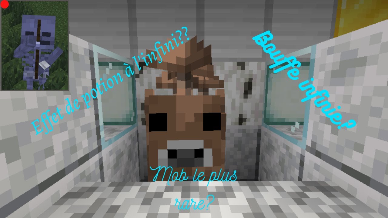 🤔LE MOB LE PLUS MÉCONNU DE MINECRAFT ...