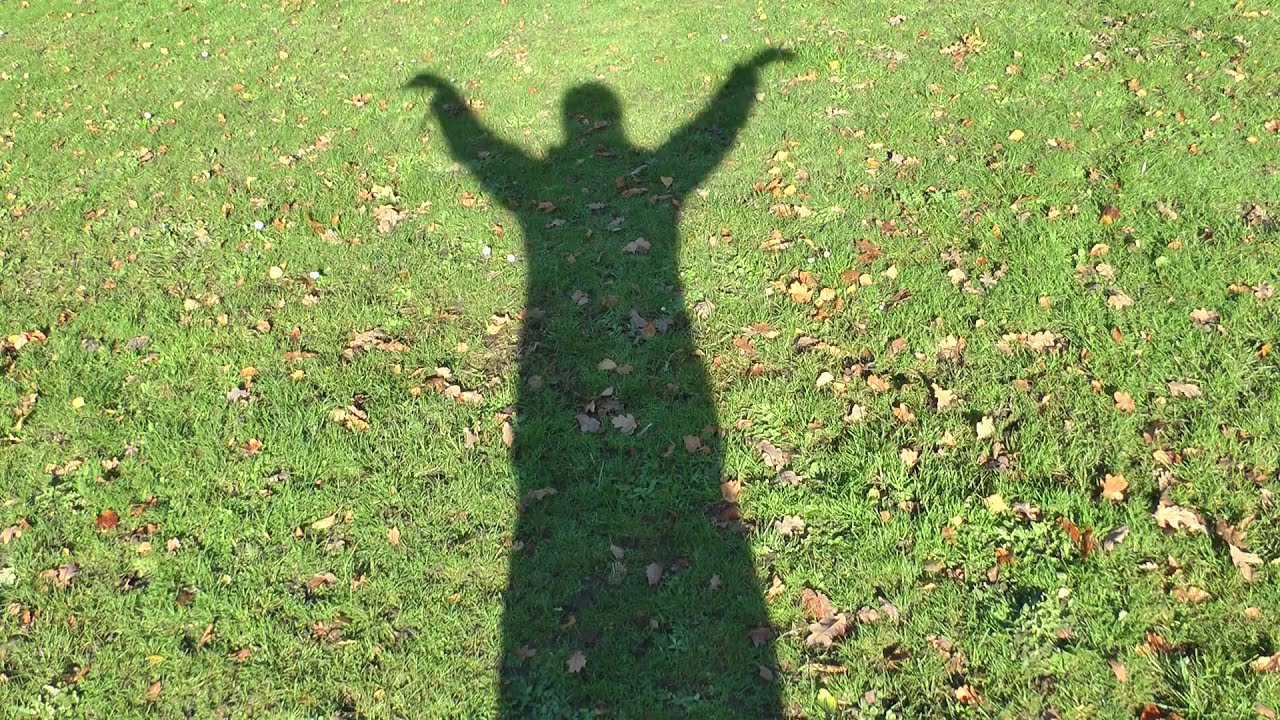 Stand up. Rise up. Fly. Mindfulness. Become Present. Come to your ...