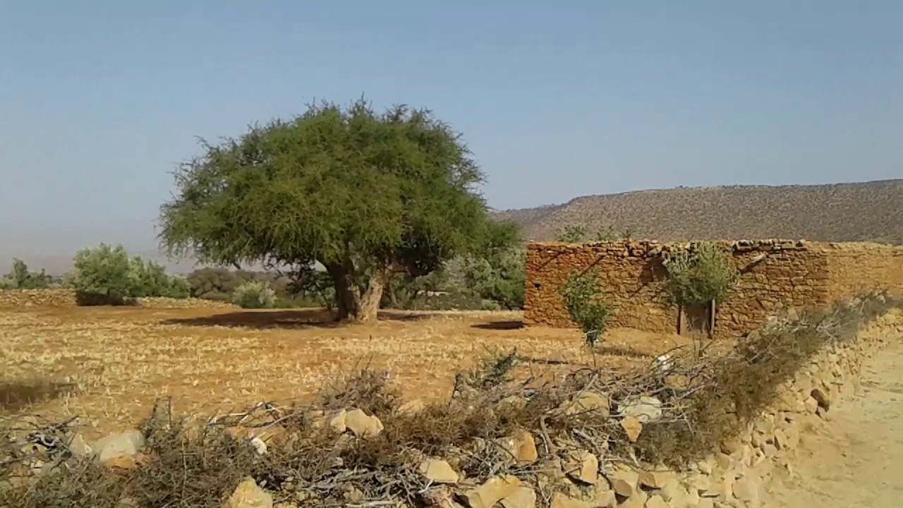 ait daoud essaouira iferd ousni 🎥🎥🎥 - YouTube