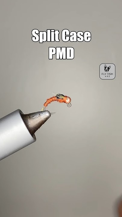 Split Case PMD | FLY tying Tutorial - YouTube