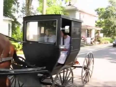 Results - Horse Racing | Daily Racing Form - YouTube