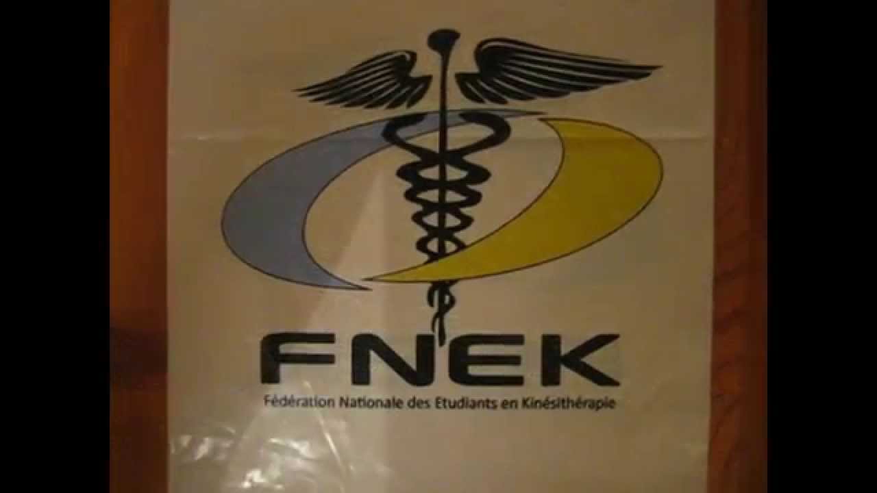 Y a qui à la FNEK ? (Bureau 2015-2016) - YouTube