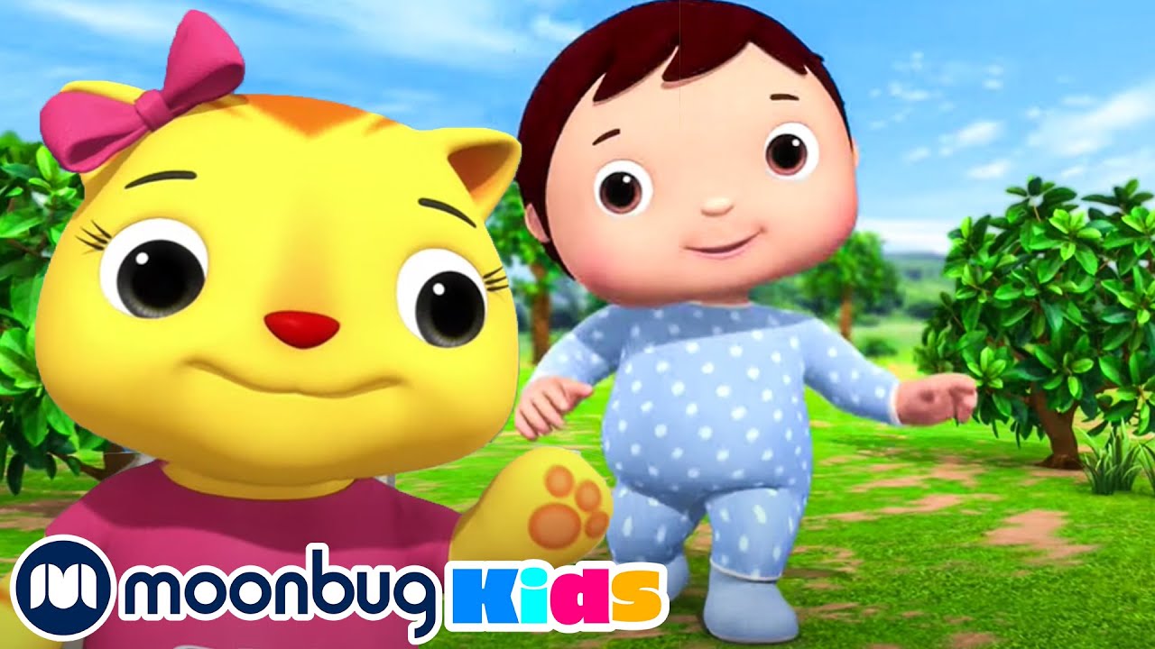 Alphabet and Animals Song & MORE! | Playground for Children | Baby ...