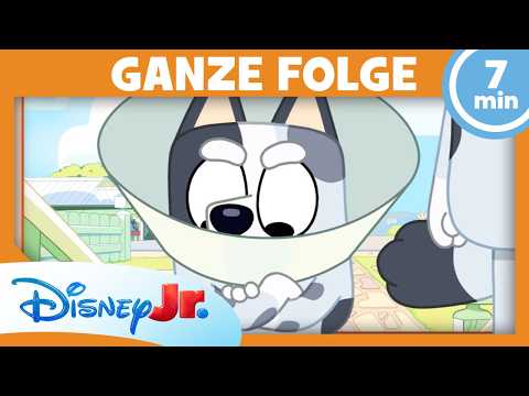 Kragen-Muffin GANZE FOLGE | Bluey