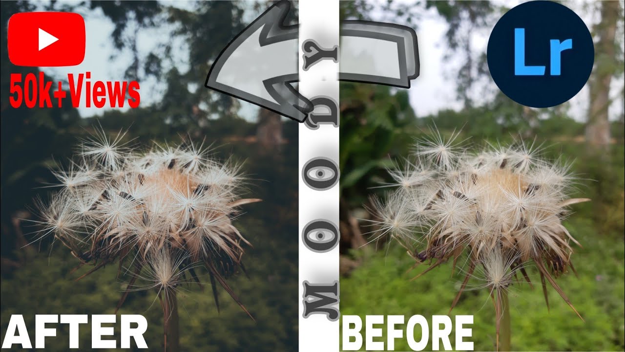 New "2021" PRO MOODY_Filter editting in mobile lightroom.. | Moody ...