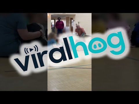 Brown Basilisk Lizard Makes a Break for Freedom || ViralHog