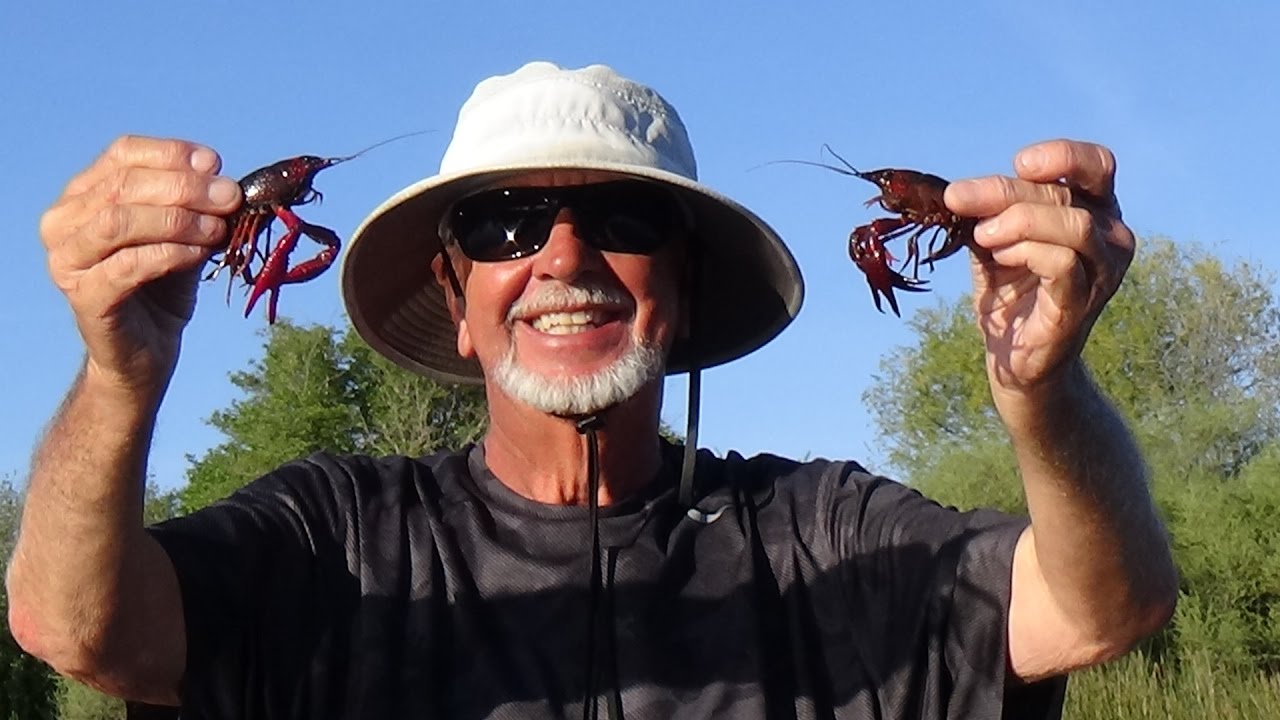SPRINGTIME IS THE RIGHT TIME ... CALIF. DELTA CRAWDADS ! - YouTube