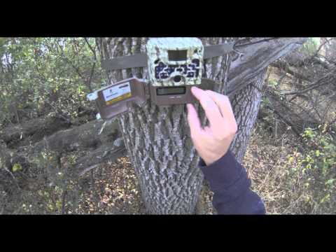 Gopro trail camera pictures check - YouTube