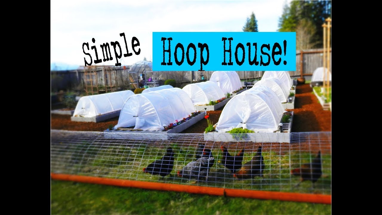 Simple D.I.Y Hoop house! Cheap & Effective - YouTube