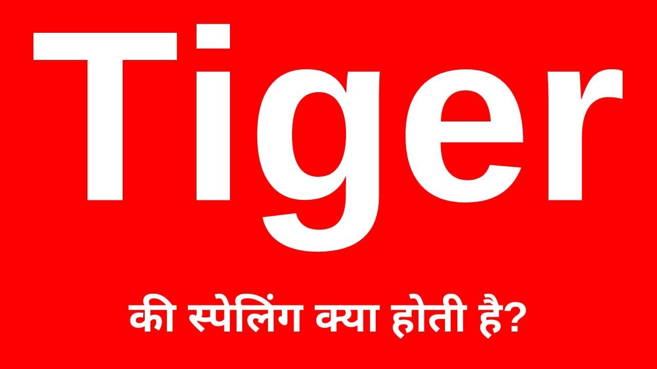 Tiger Ki Spelling | Tiger Ka Spelling | टाइगर की स्पेलिंग क्या होती है ...