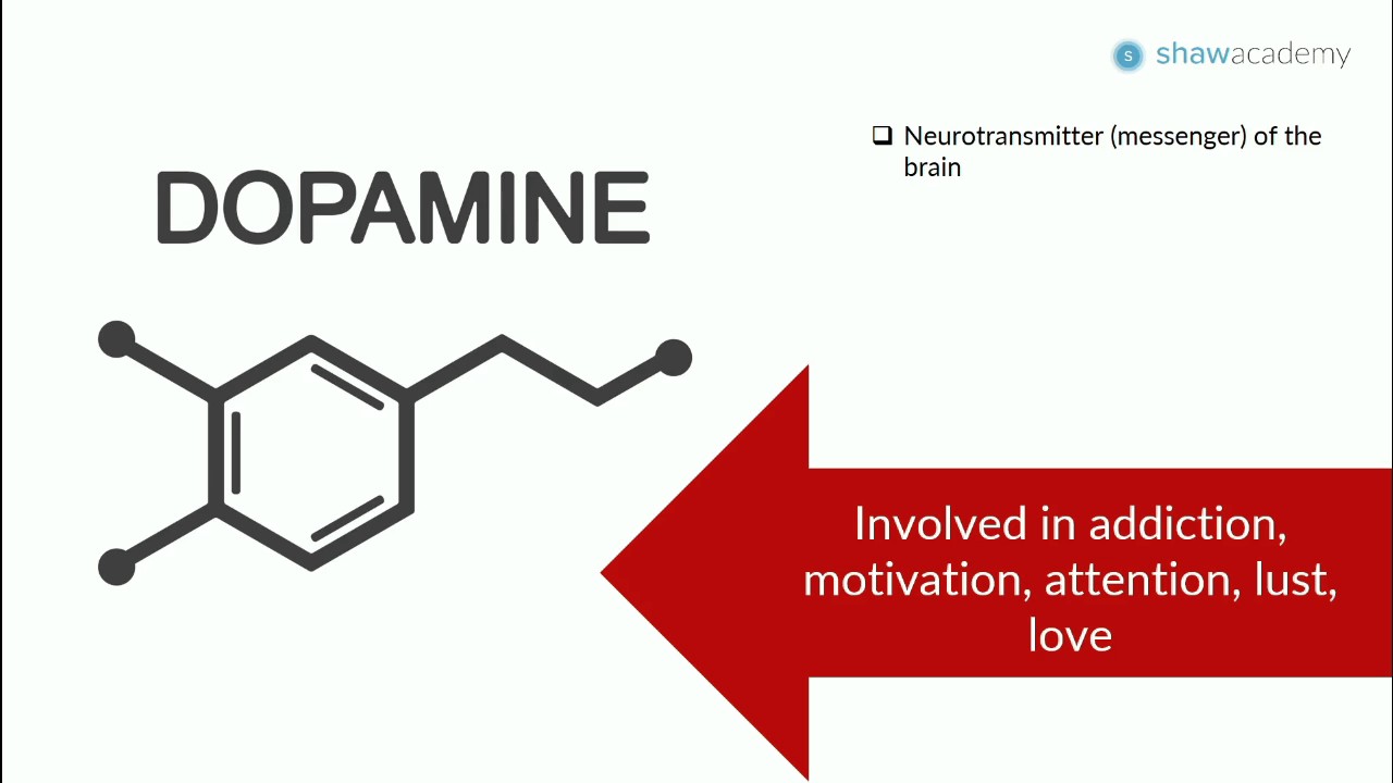 5 Little Known Facts About Dopamine - YouTube