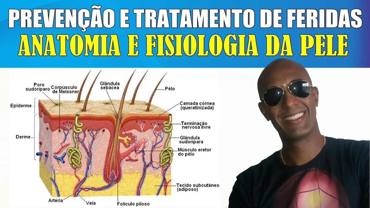 Anatomia Da Pele Humana