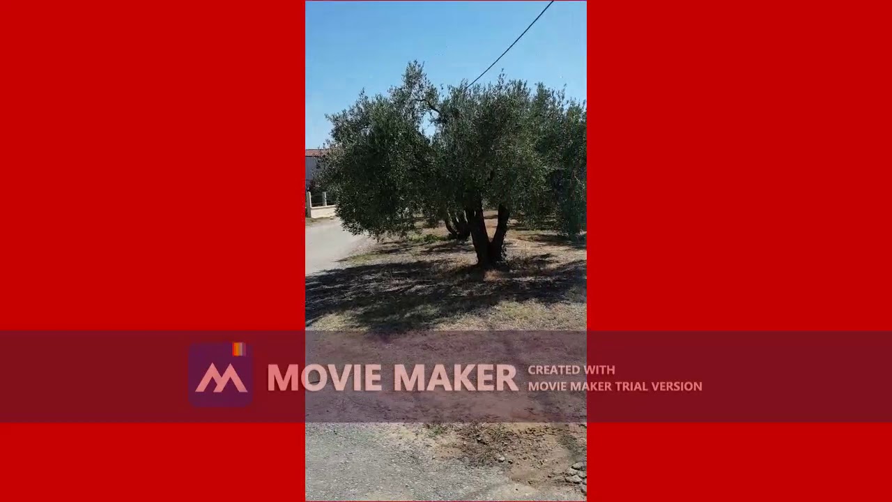 Κ-16416 ΠΩΛΗΣΗ ΟΙΚΟΠΕΔΟΥ ΣΤΗΝ ΠΟΡΤΑΡΙΑ ΧΑΛΚΙΔΙΚΗΣ - YouTube