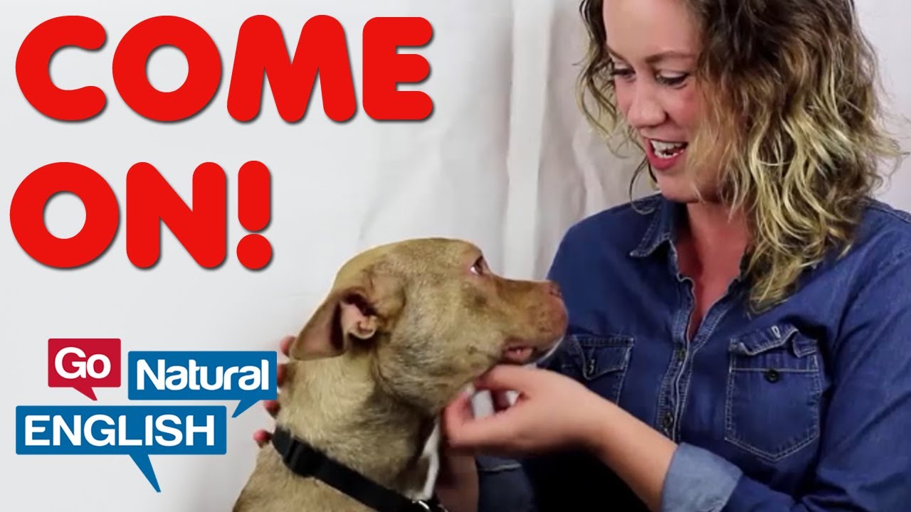 English Phrases For Daily Use | Come On! | Learn American English | Go ...