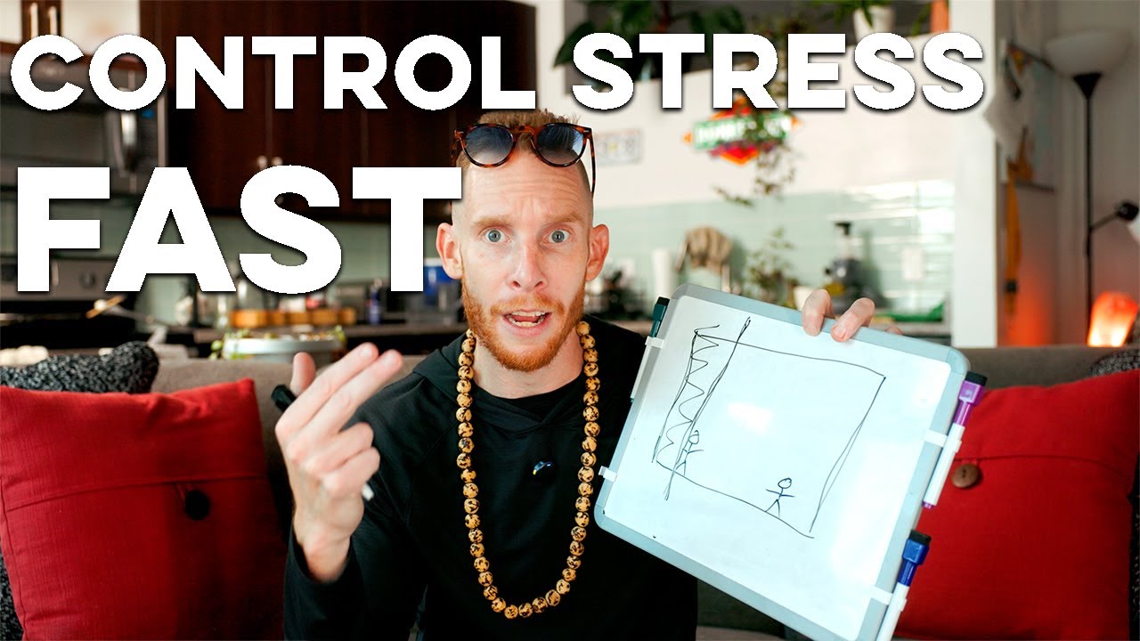 How to Control Stress and Find Your Flow State - YouTube