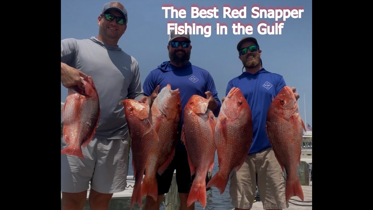 The BIGGEST caught this year! RED SNAPPER limits on our opening Day ...