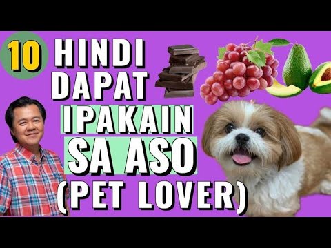 10 Hindi Dapat Ipakain sa Aso (Pet Lover). - By Doc Willie Ong - YouTube