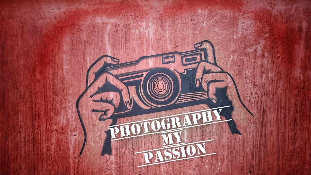 World photography day status video || photography status || photography ...