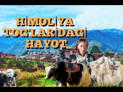 Himolay sirlari_ Dunyoning eng baland tog'larida hayot_ tabiati _va ...