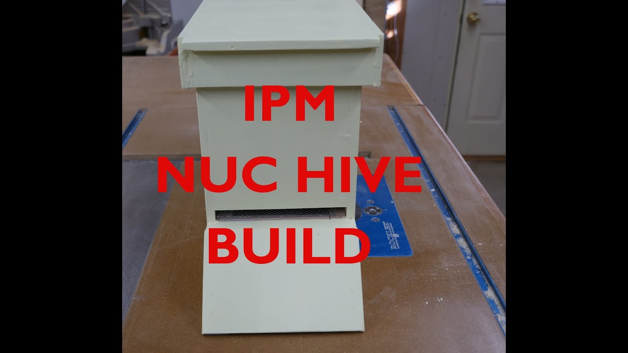 Hive NUC With IPM Bottom Board & Stand - YouTube