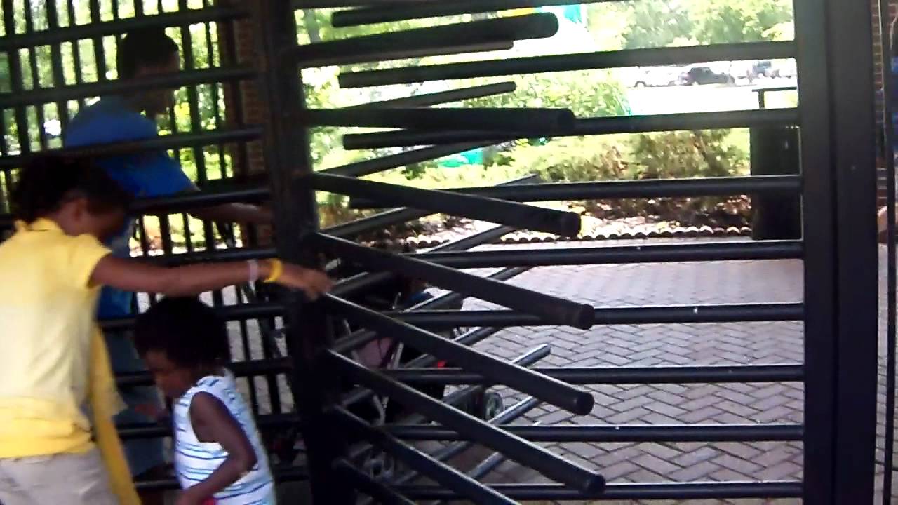 ALLEN B. & BIMINI - YouTube