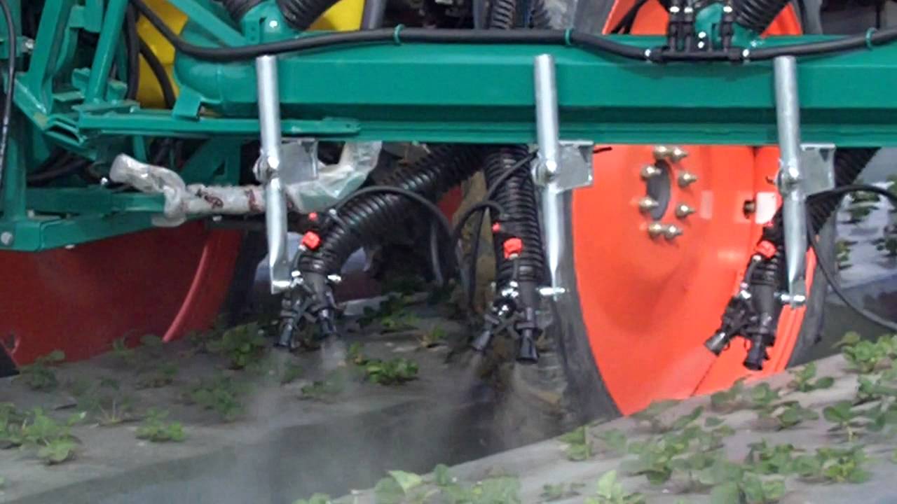 Cima Venturi Sprayer Strawberries - YouTube
