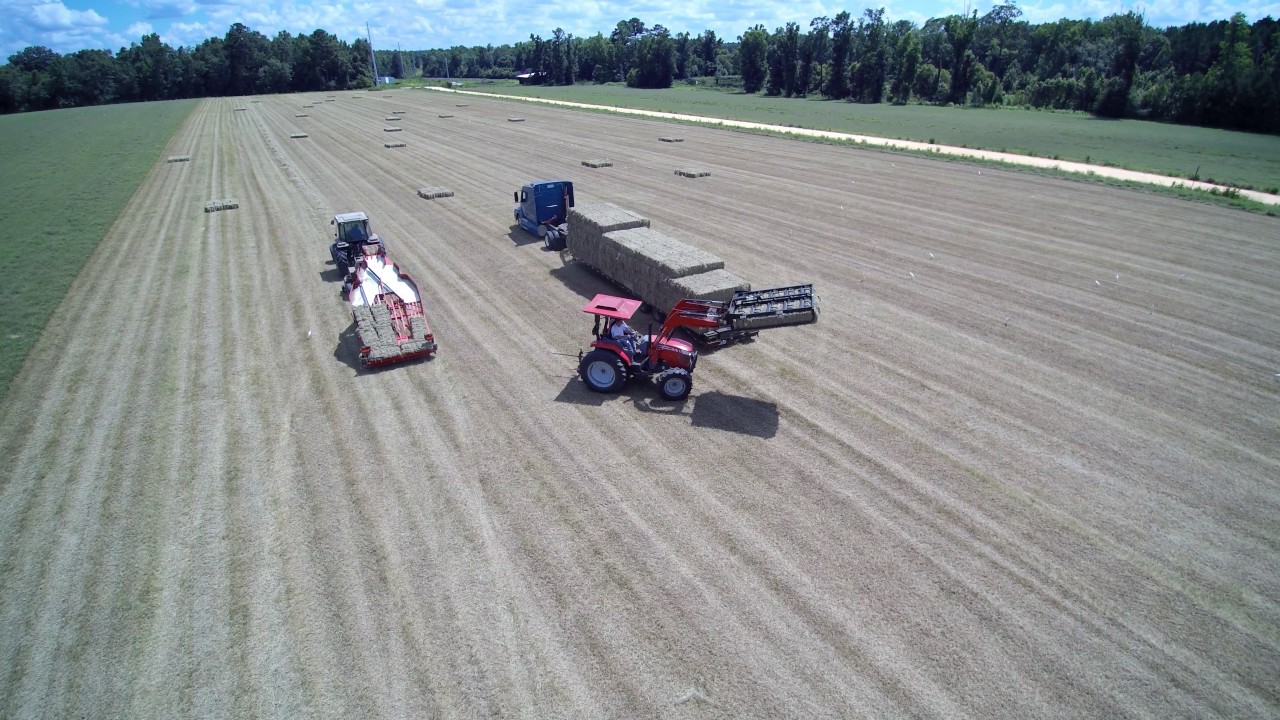THE JOHNSON FAMILY FARM - YouTube