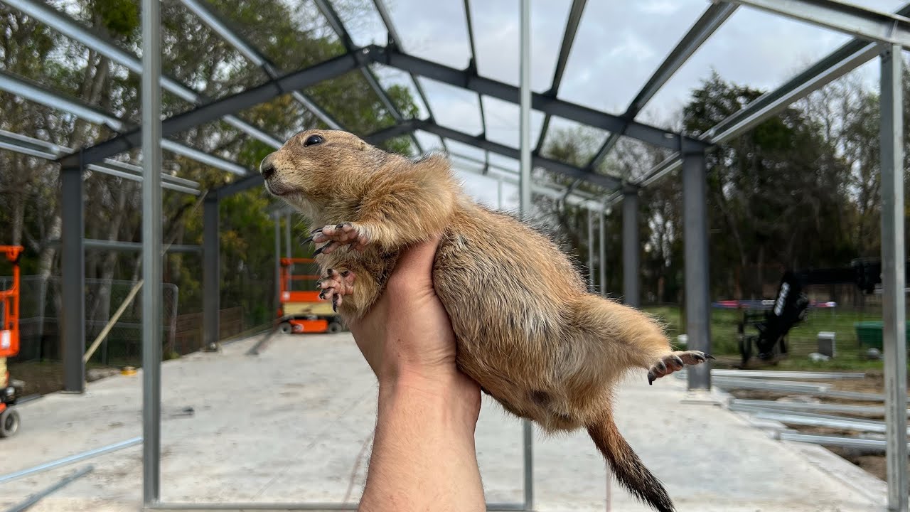 Big Ounce ate 14 Tons of Steel (we’re bankrupt) - YouTube