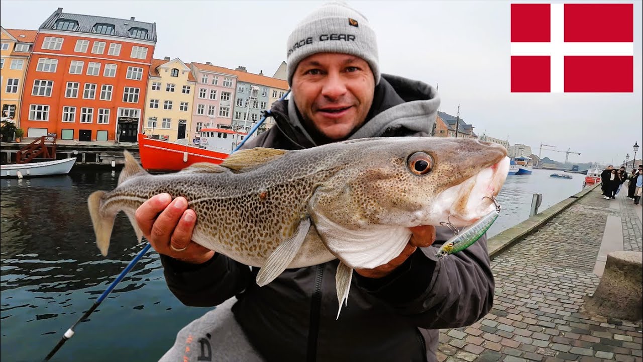 Urban Fishing in Copenhagen! Got my ASS FREEZED but I got big cods with ...