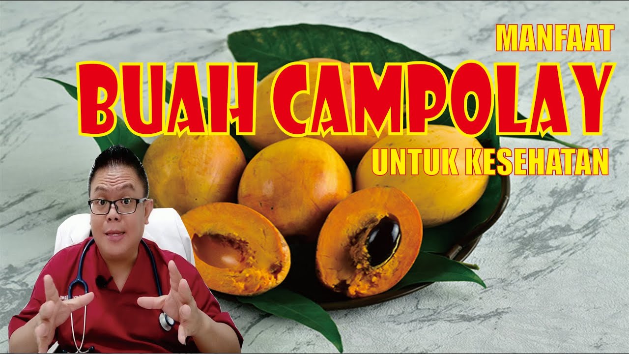 MANFAAT BUAH CAMPOLAY UNTUK KESEHATAN - YouTube