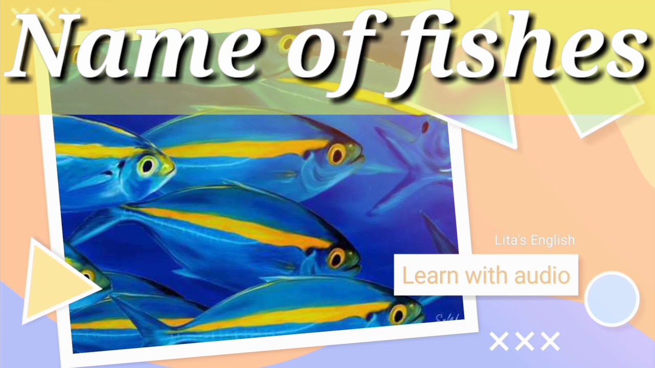Learn the name of fishes in English for daily communication - YouTube