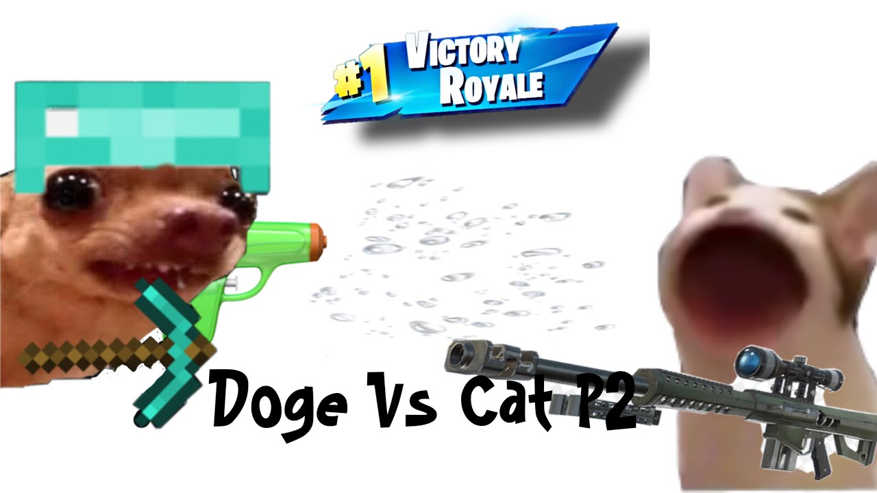 Doge Vs Cat P2 - YouTube