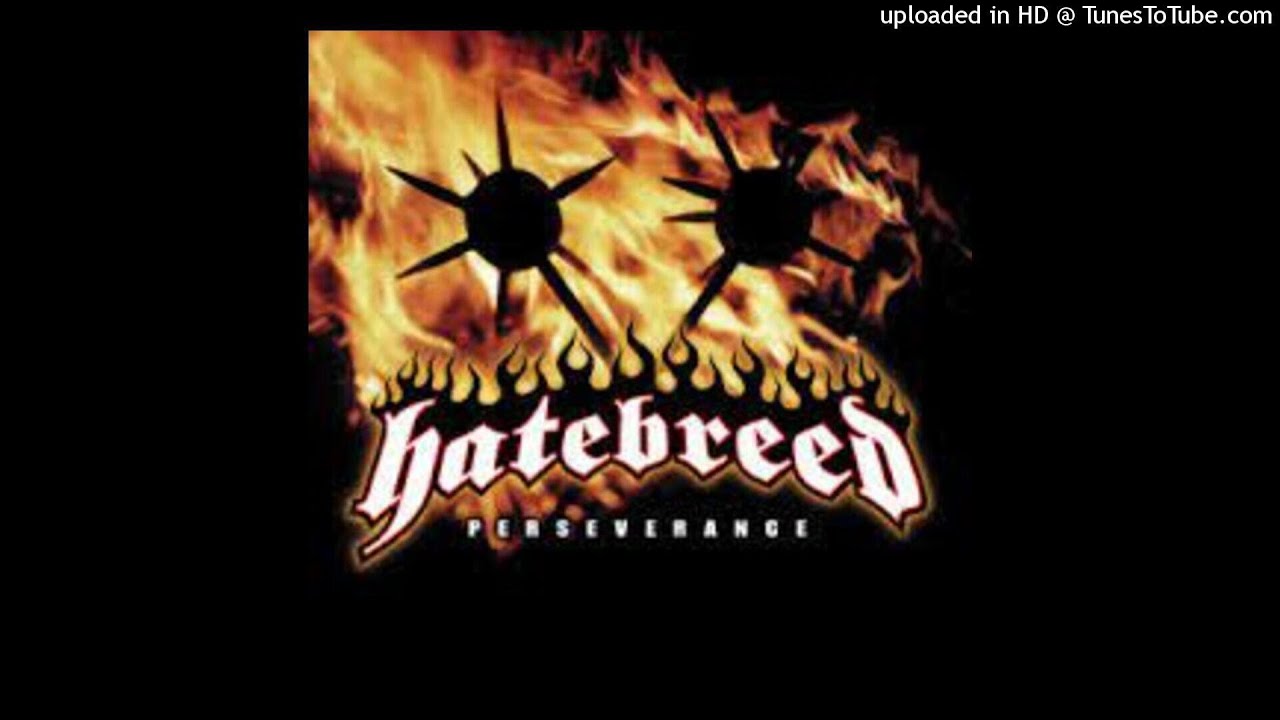 02 Hatebreed - Perseverance - YouTube
