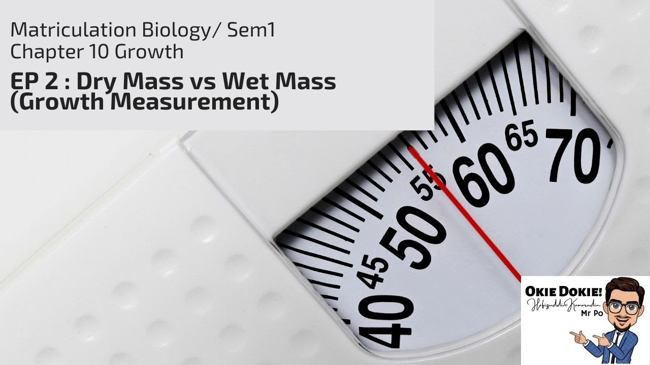 Chapter 10 EP 2 / Sem 1 - Dry Mass vs Wet Mass ( Biology Matriculation ...