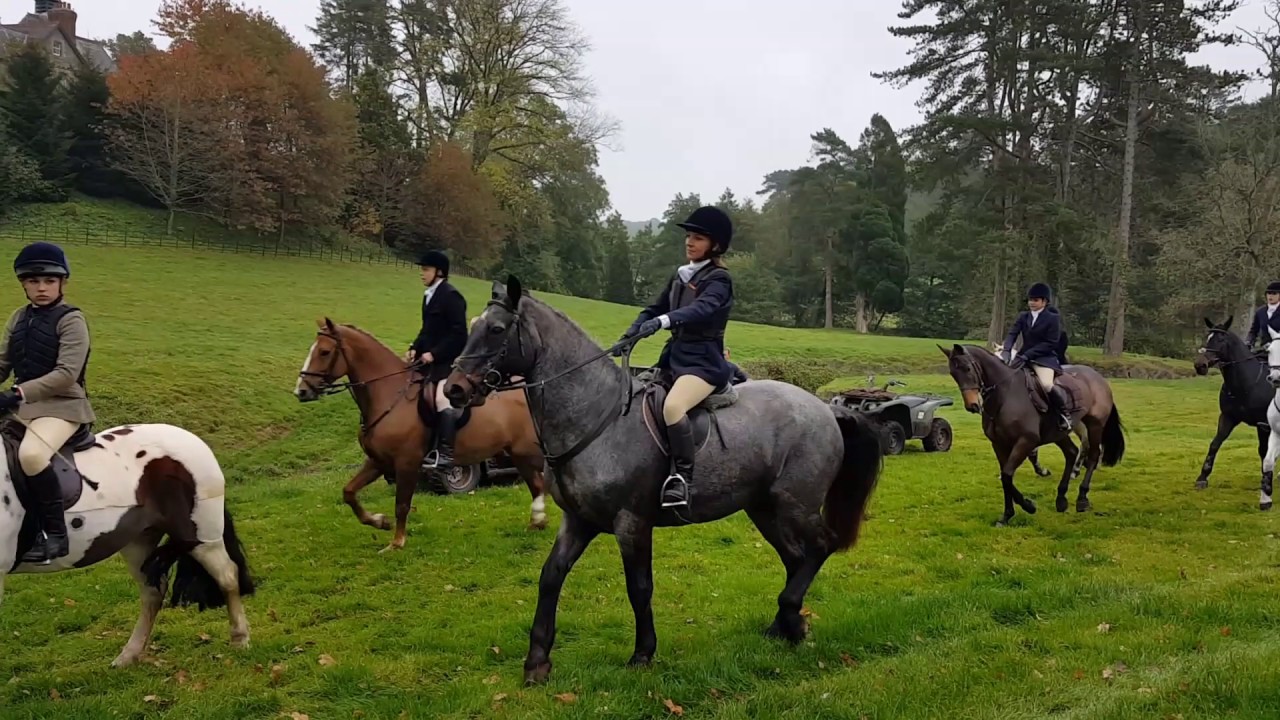 Fox hunting - YouTube