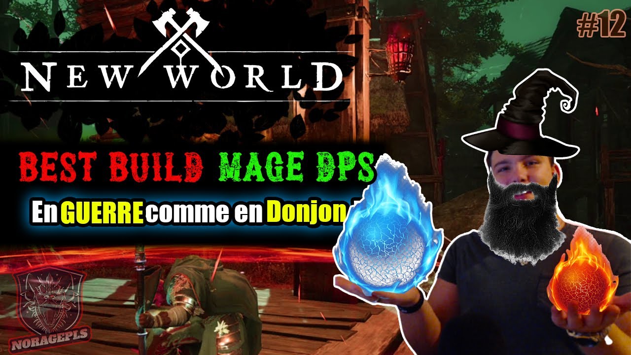 3 Best Build MAGE DPS for PVP et PVE Gantelet de Glace et Baton de feu ...