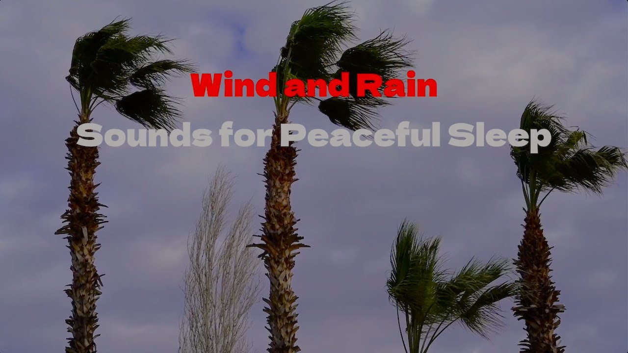 Rain and Wind Sounds for Sleeping Fast | Sleep Better, Relax and ...
