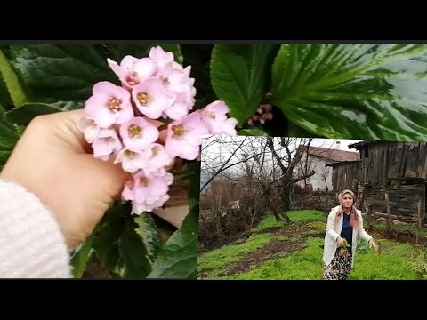 ŞALVARLI YÖRÜK KIZI🥰KÖYÜMDE BİR GÜN🤗ANNEMLE DOĞAL KONUŞMALARIMIZ😅