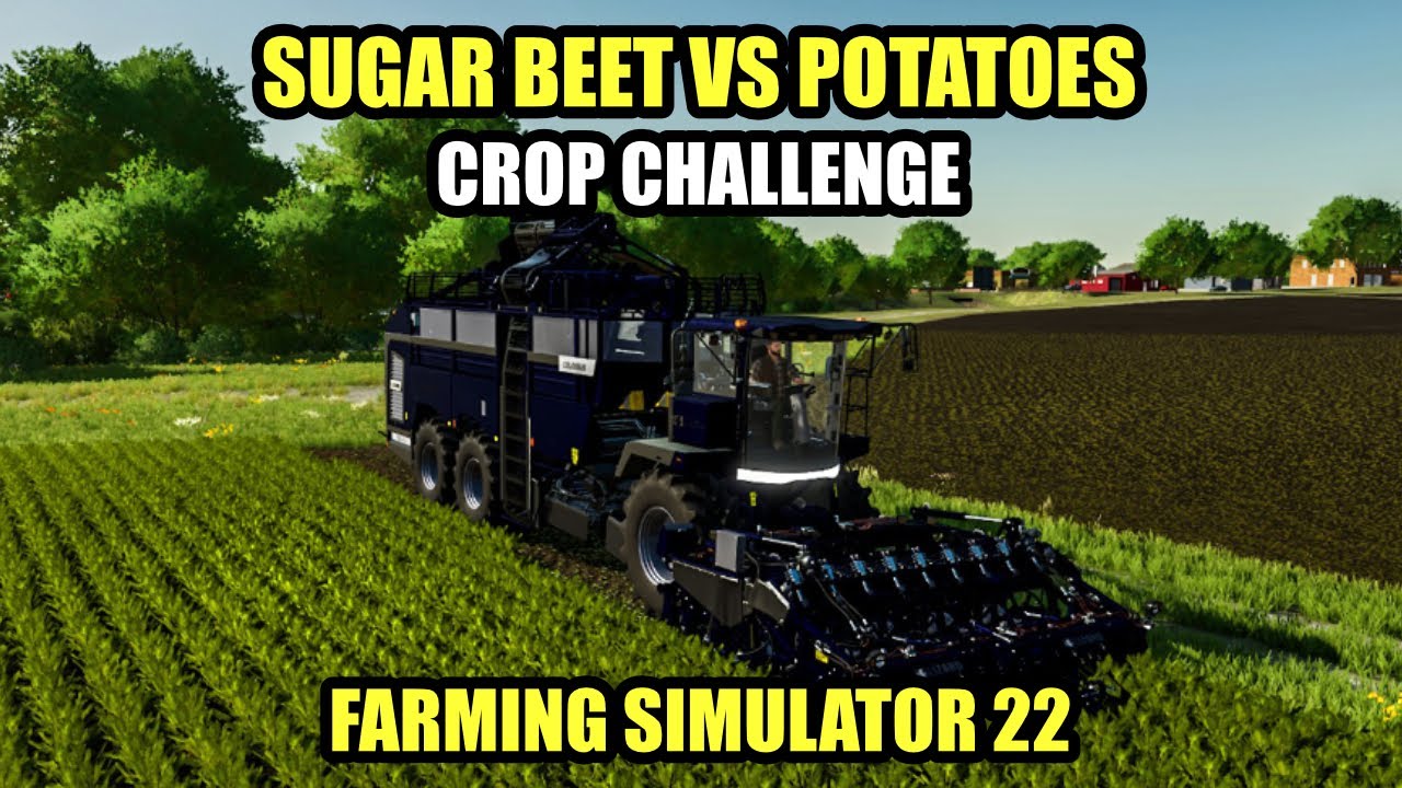 FS22 SUGAR BEET vs POTATOES Crop Challenge | Farming Simulator 22 - YouTube