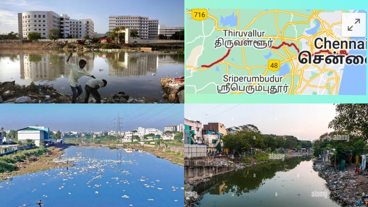 Cooum is the most Polluted River - YouTube