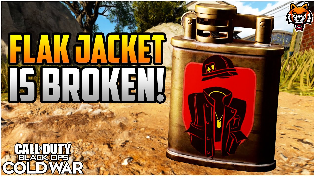 Flak Jacket Is OVERPOWERED In Black Ops Cold War... - YouTube