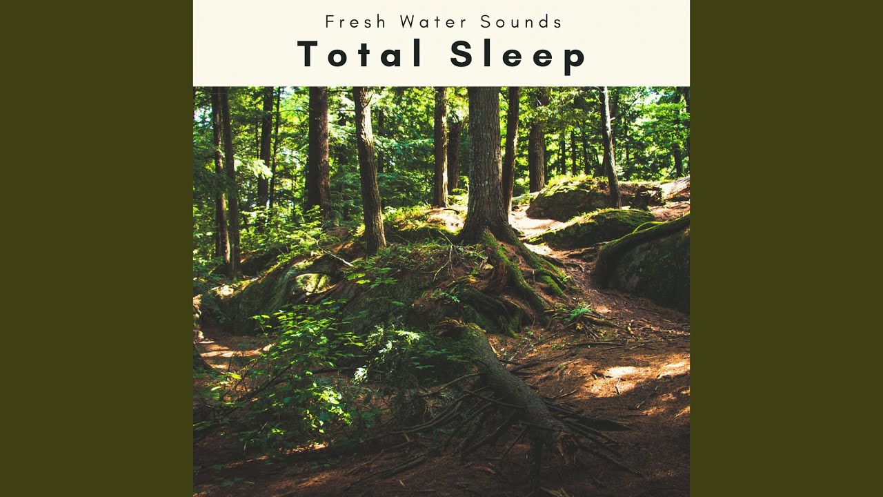 Soft Stream Nature Sounds for Instant Relax - YouTube