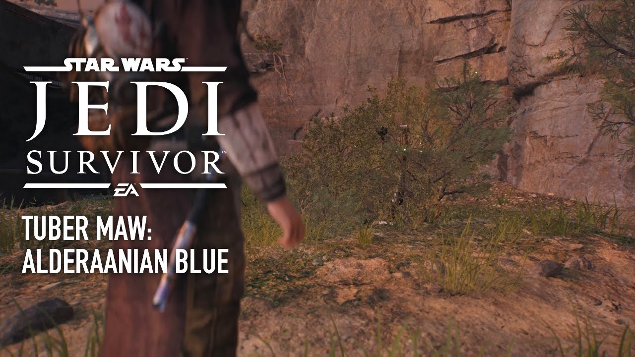 STAR WARS Jedi: Survivor - Tuber Maw: Alderaanian Blue - Seed Pods ...