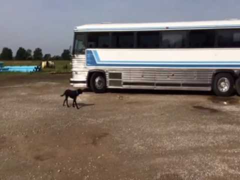 1981 MCI MC9 CRUSADER II For Sale - YouTube