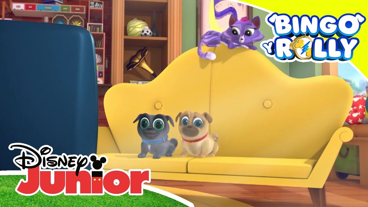 Bingo y Rolly: Momentos Mágicos - El cumpleaños de Bob | Disney Junior ...