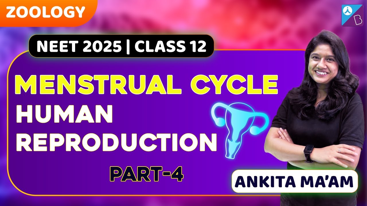Menstrual Cycle- Part -4 | Human Reproduction | Class 12 | NEET 2025 ...