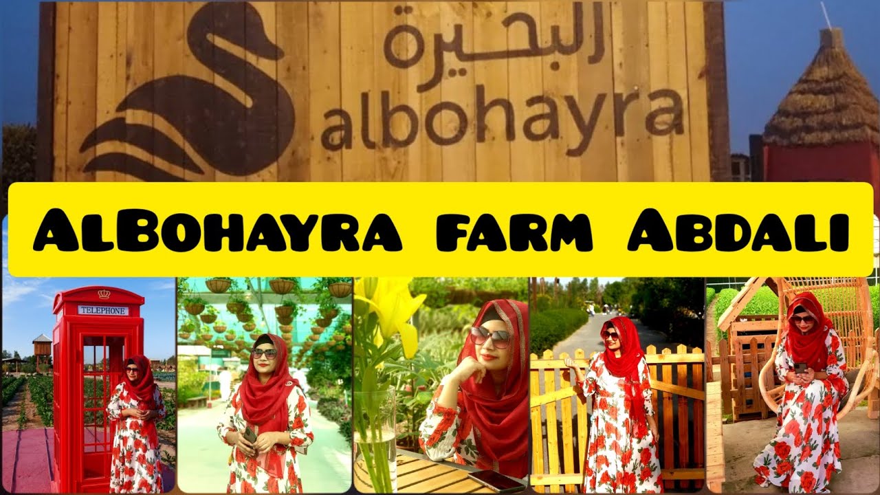 Albohayra Farm Abdali Kuwait / Kuwait Travel Vlog/ Abdali Farm / Farms ...