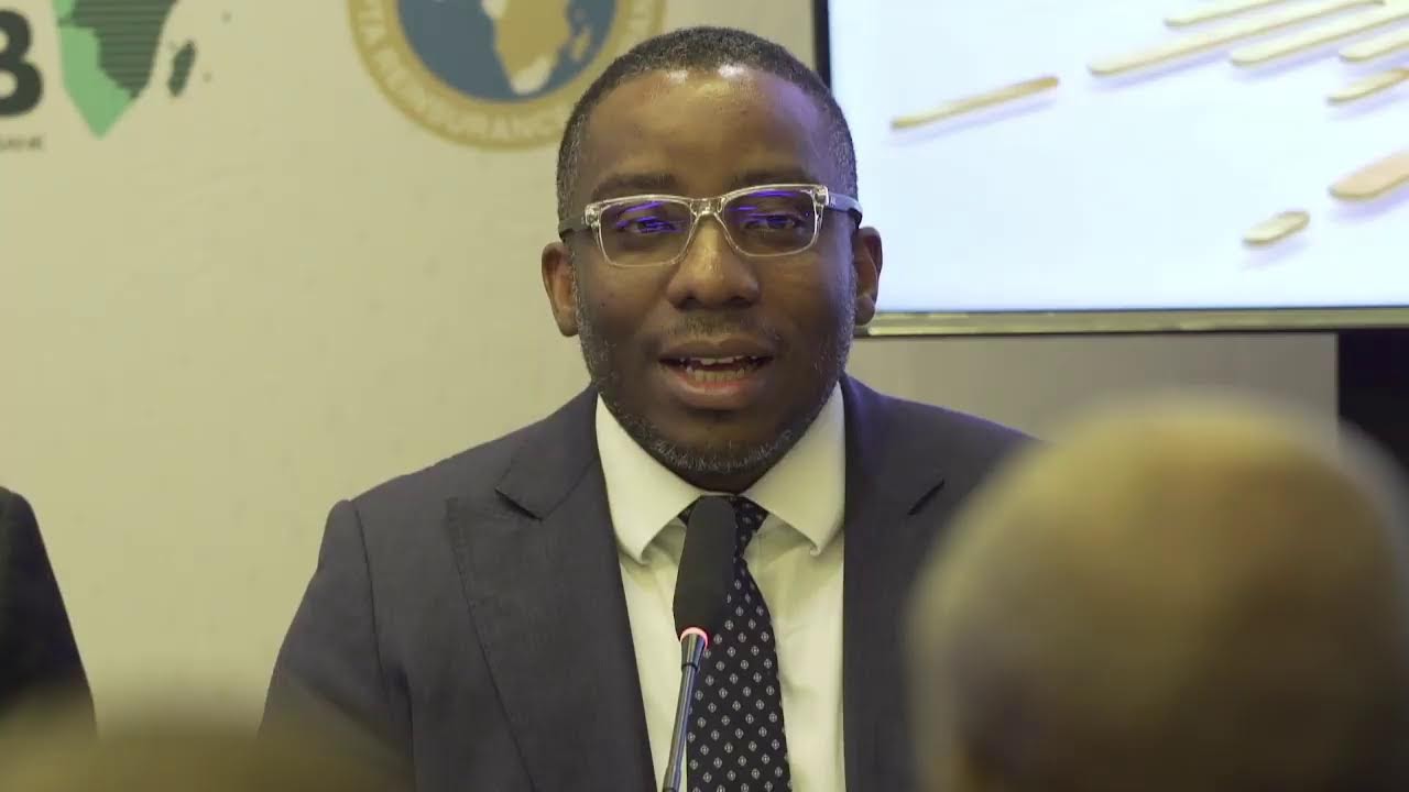 Introductory Press Conference of the Alliance of African Multilateral ...